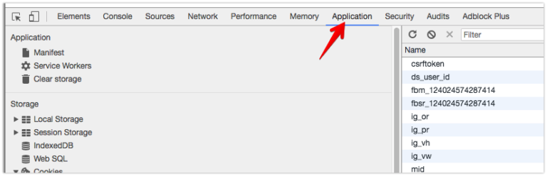 How to get Instagram session cookie? - ValvePress